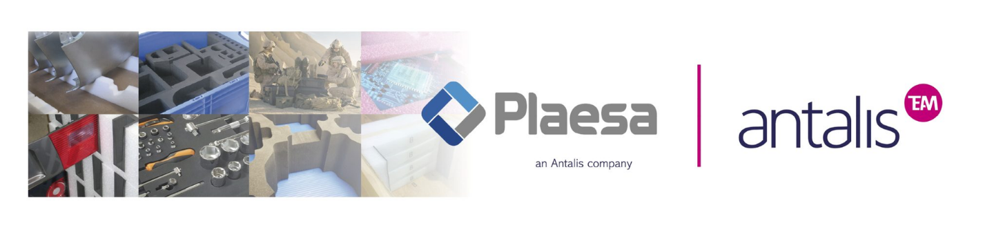 Descubre Plaesa | Antalis ES