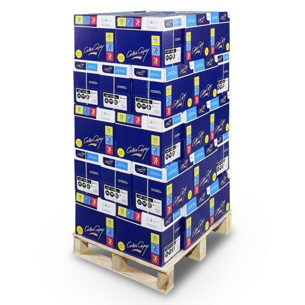 Color Copy Original Reprografico | Antalis ES